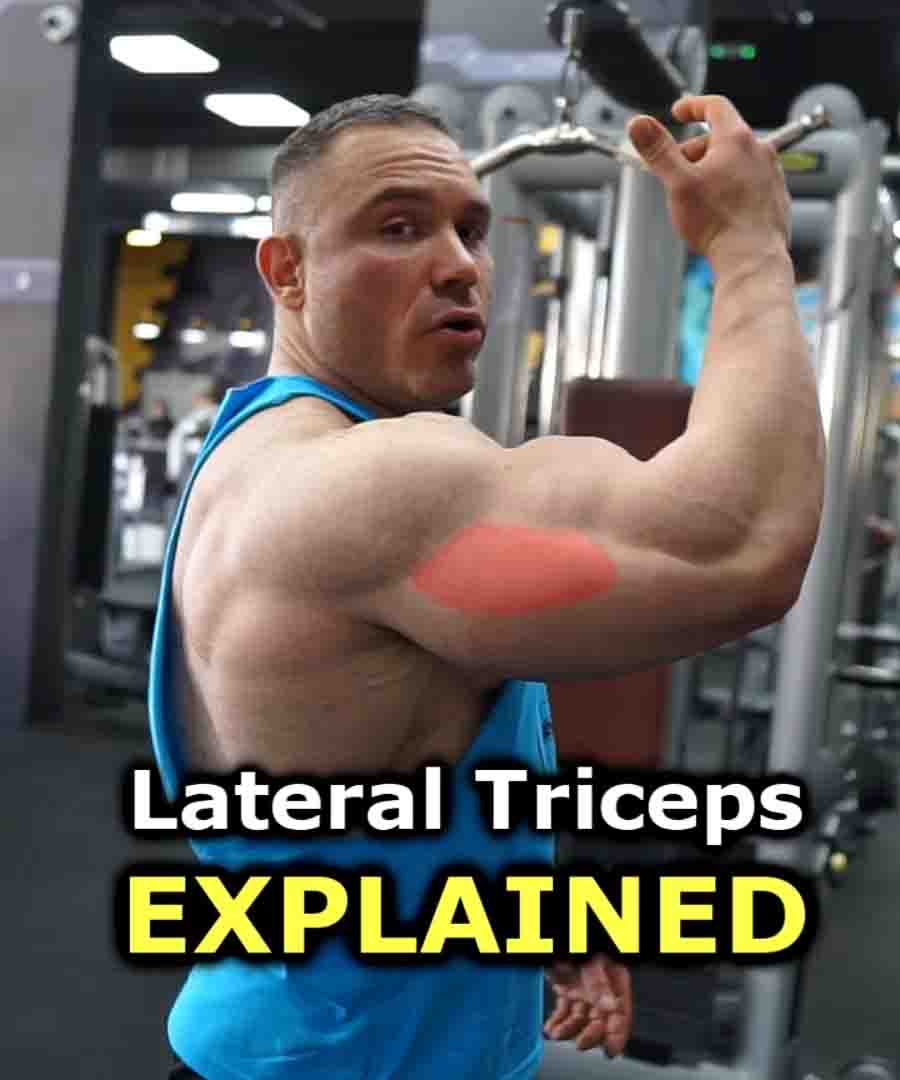 Lateral triceps superset explained | GymZilla Tribe Exercises