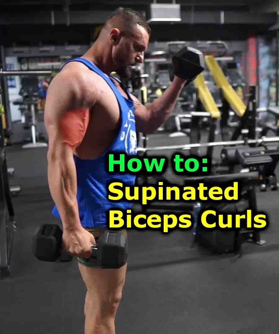 Supinated biceps curls: 2 variations | GymZilla Tribe Exercises