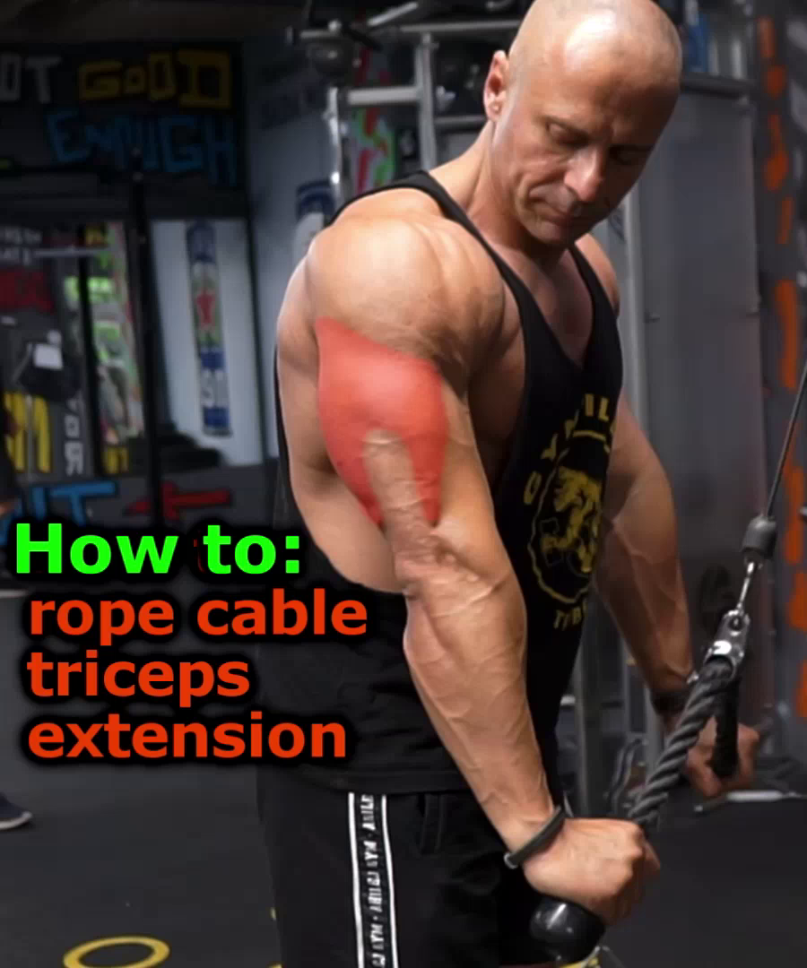 How to: rope cable triceps extension | GymZilla Tribe Exercises